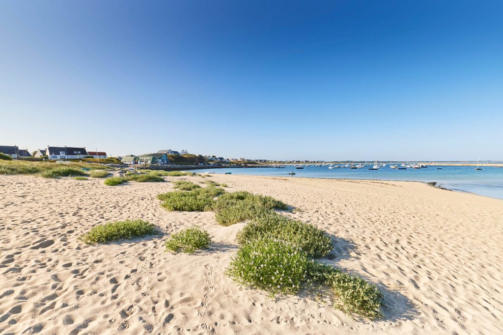 Webcam plouescat : Porsmeur beach | Roscoff Tourist Office